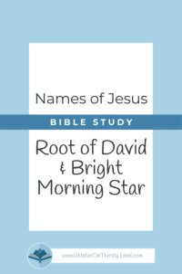 Names of Jesus: Root of David, Bright Morning Star | Water on Thirsty Land