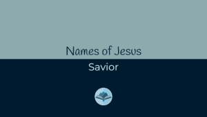 Names of Jesus: Savior | Water on Thirsty Land