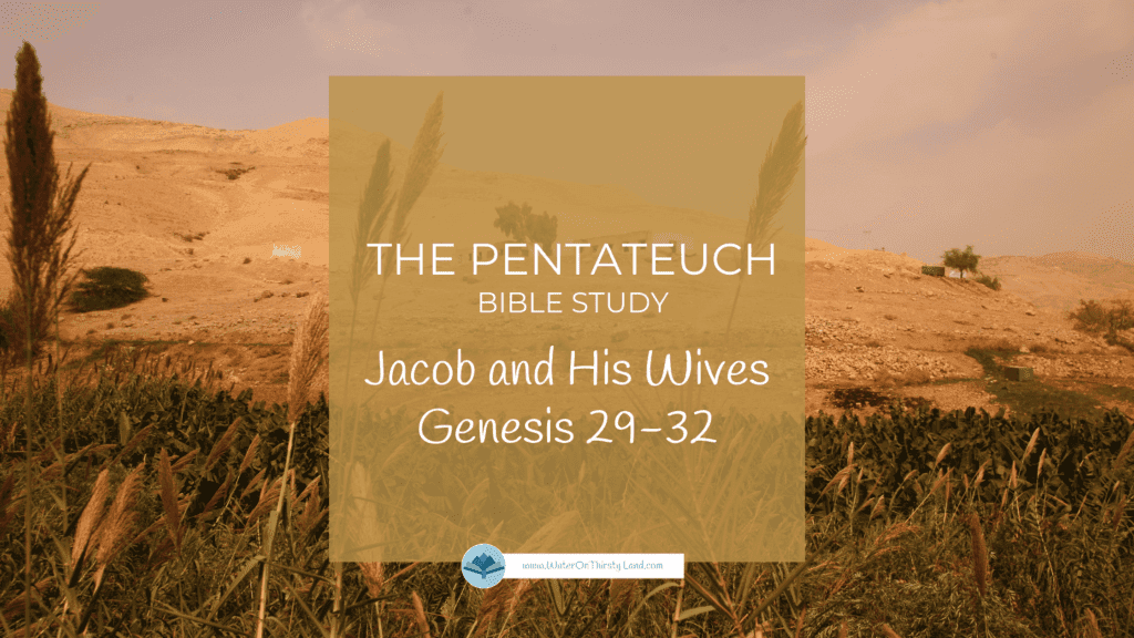 The Pentateuch: Jacob and His Wives, Genesis 29-32 | Water on Thirsty Land