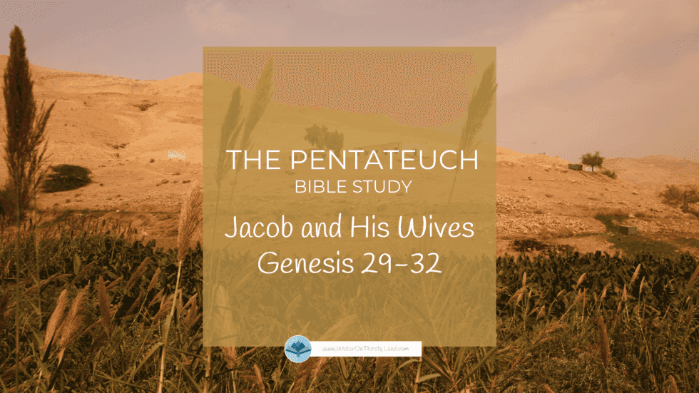 The Pentateuch: Jacob and His Wives, Genesis 29-32 | Water on Thirsty Land